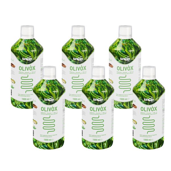 OLIVOX 2 BOTTIGLIE DA 1Lt | Snep SPA